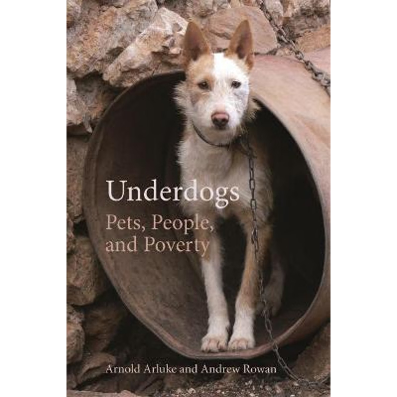 按需印刷不退不换Underdogs[9780820358239]