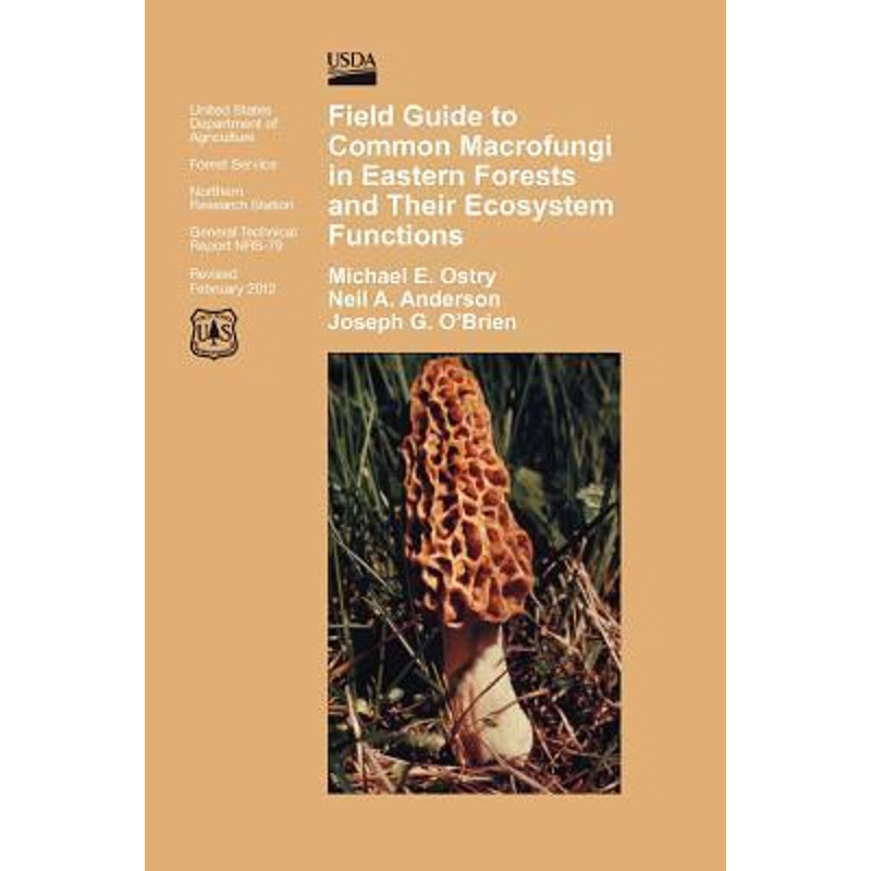 按需印刷不退不换Field Guide to Common Macrofungi in Eastern Forests and Their Ecosystem Function[9781782662075]