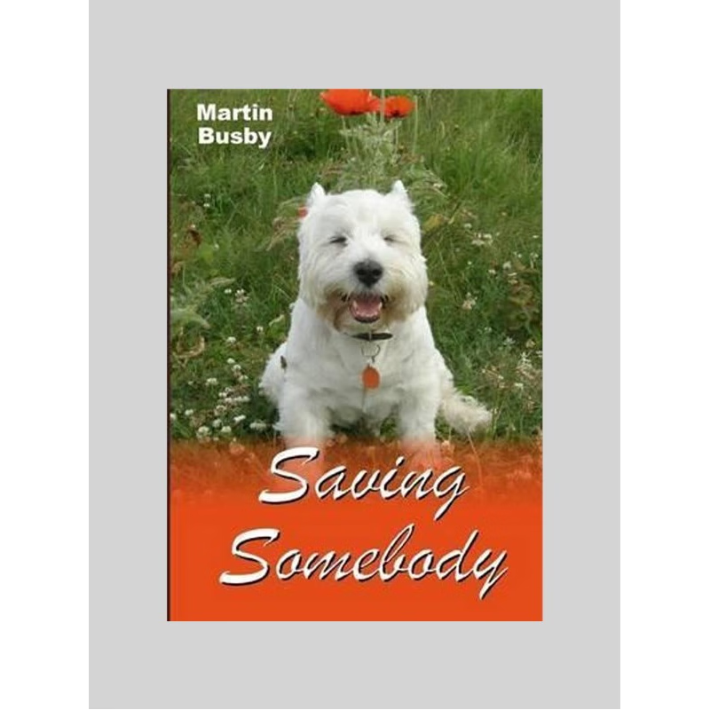 按需印刷Saving Somebody[9781326500221]