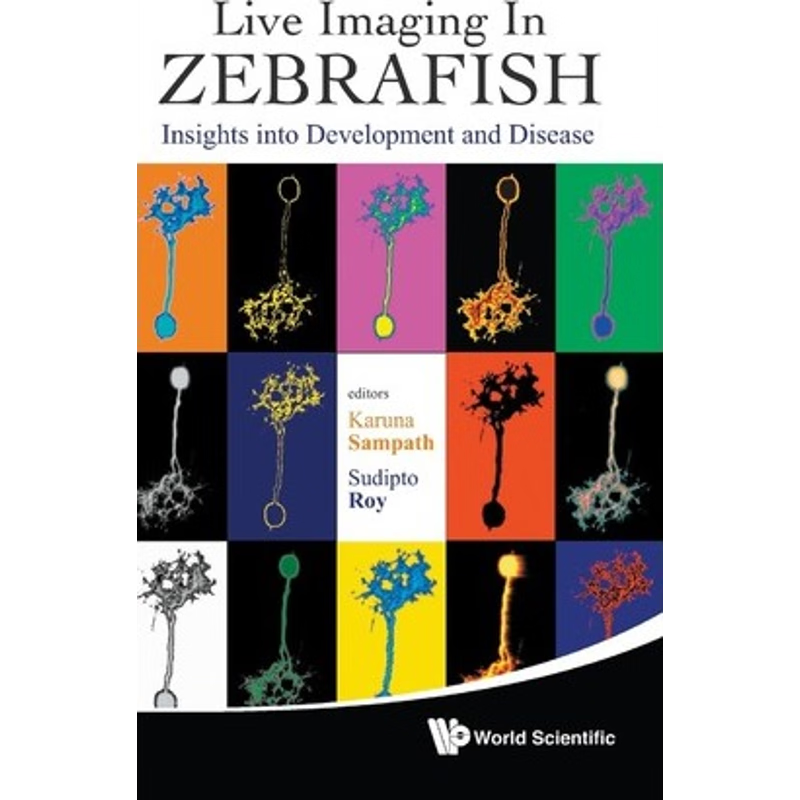 按需印刷不退不换Live Imaging in Zebrafish[9789814307345]