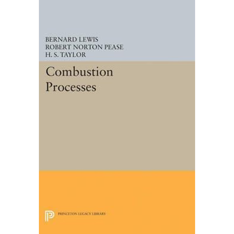 按需印刷不退不换Combustion Processes[9780691626871]