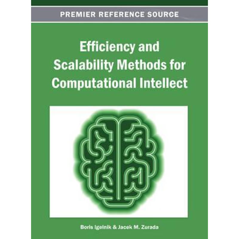 按需印刷不退不换Efficiency and Scalability Methods for Computational Intellect[9781466639423]