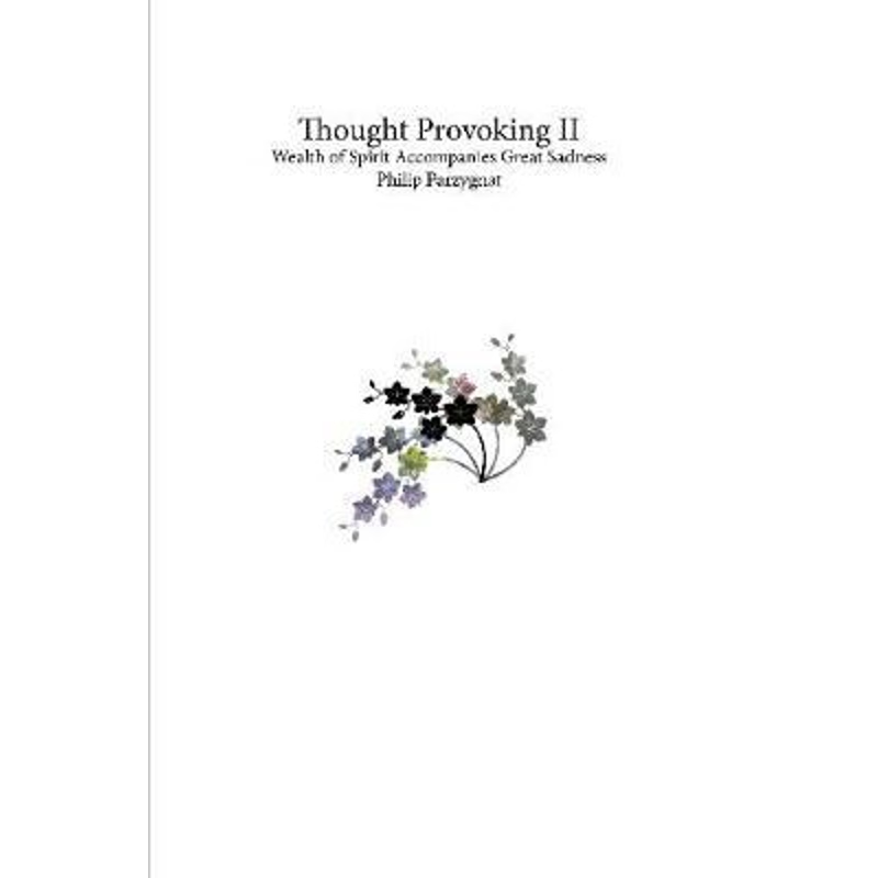 按需印刷不退不换Thought Provoking II[9780359404636]