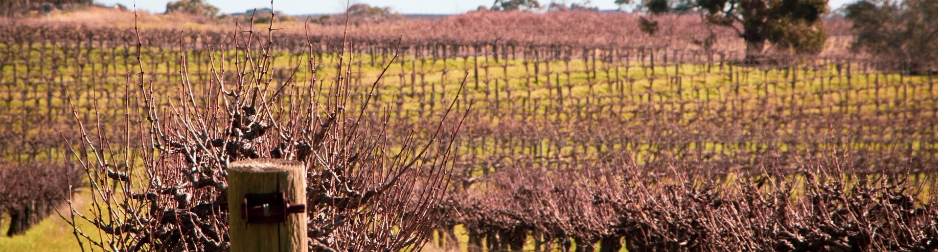 MARTIN DEMAN官方旗舰店 - 京东