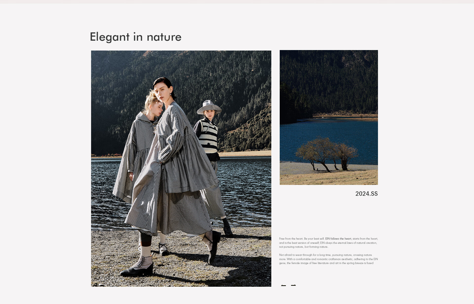 EIN官方旗舰店 - 京东