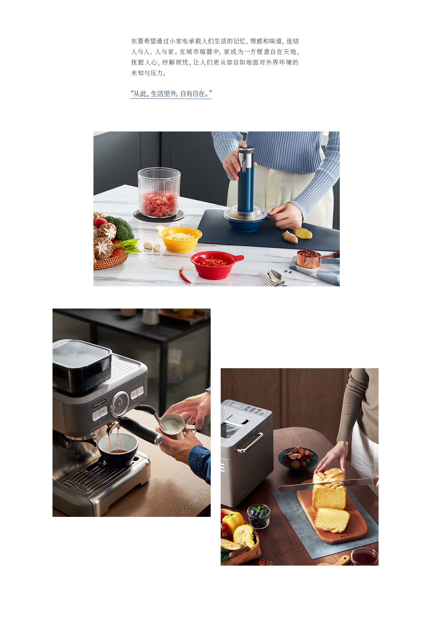 东菱（Donlim）企业购京东自营旗舰店 - 京东品牌介绍