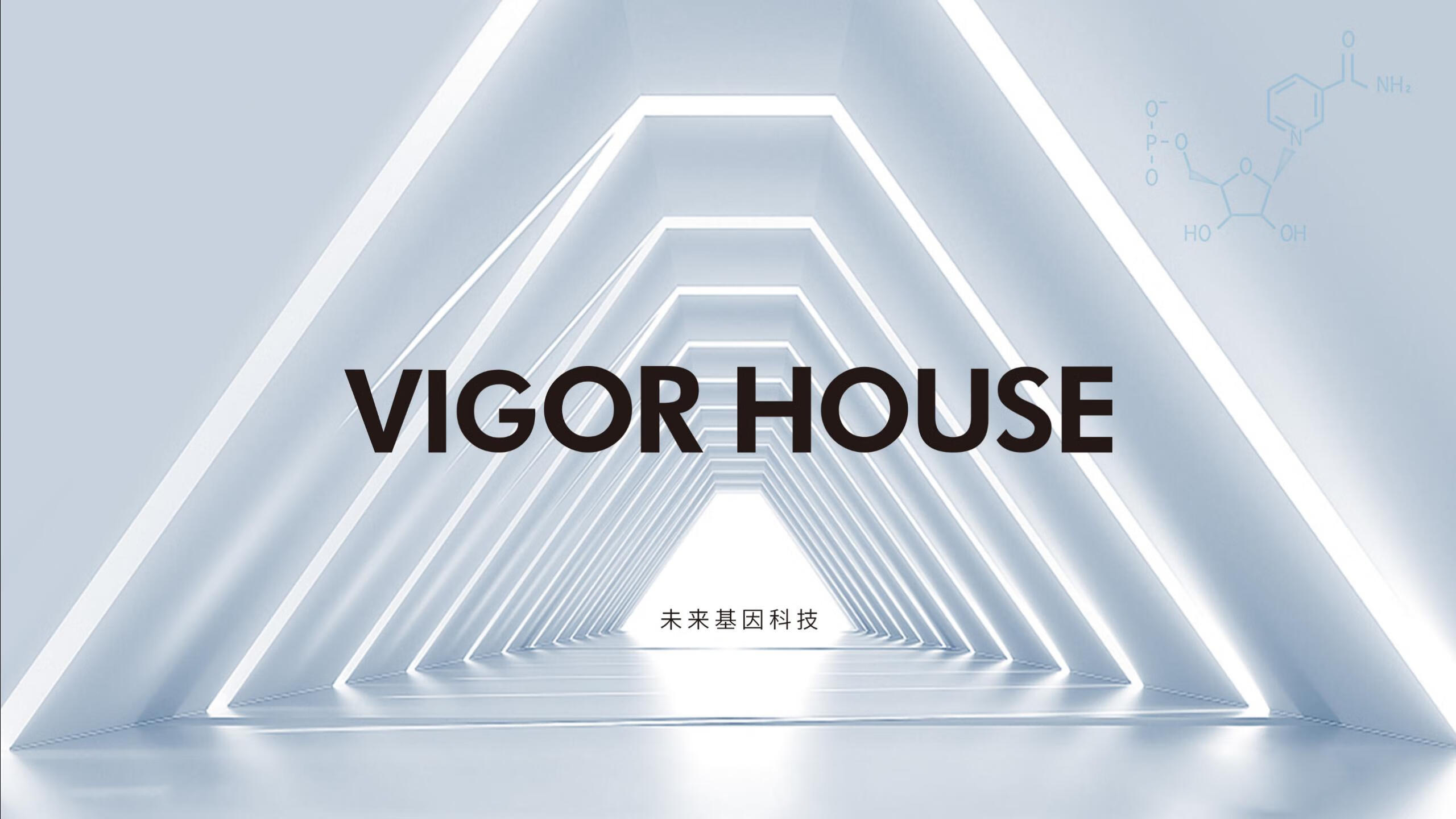Vigor House海外旗舰店
