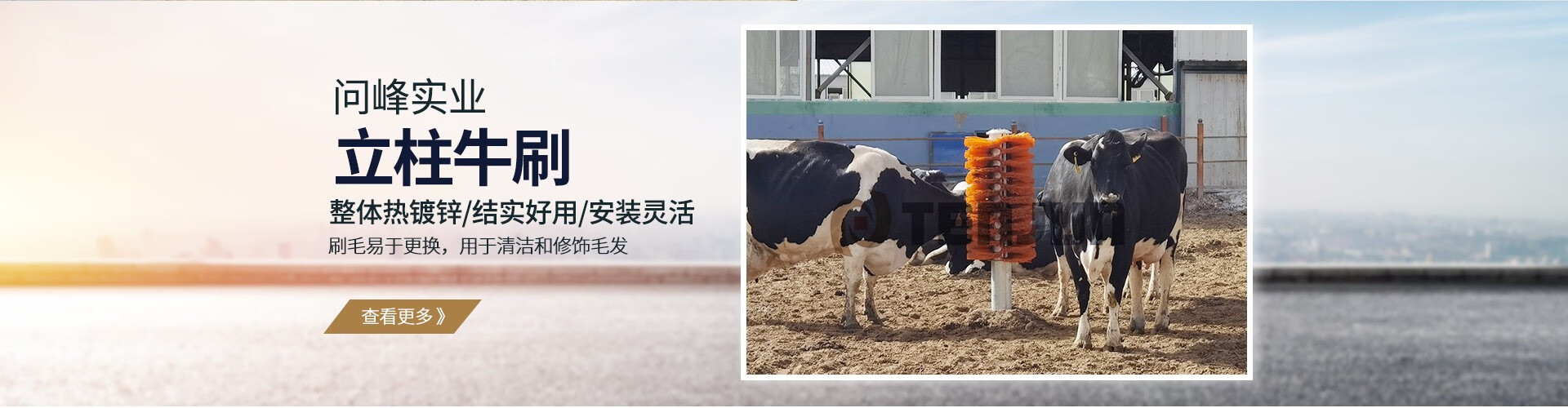 TENJUN京东自营旗舰店 - 京东