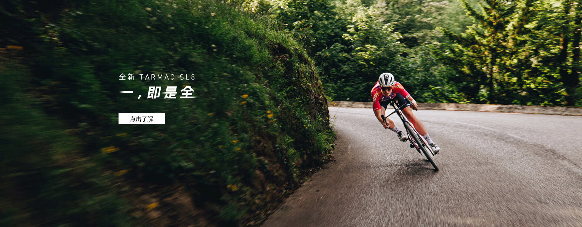 SPECIALIZED官方旗舰店 - 京东