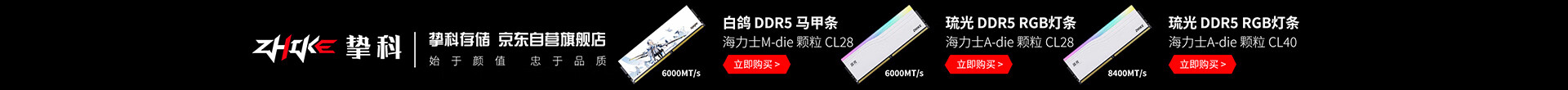 96G内存套装,用户自定义方式,1 - 挚科存储京东自营旗舰店京东