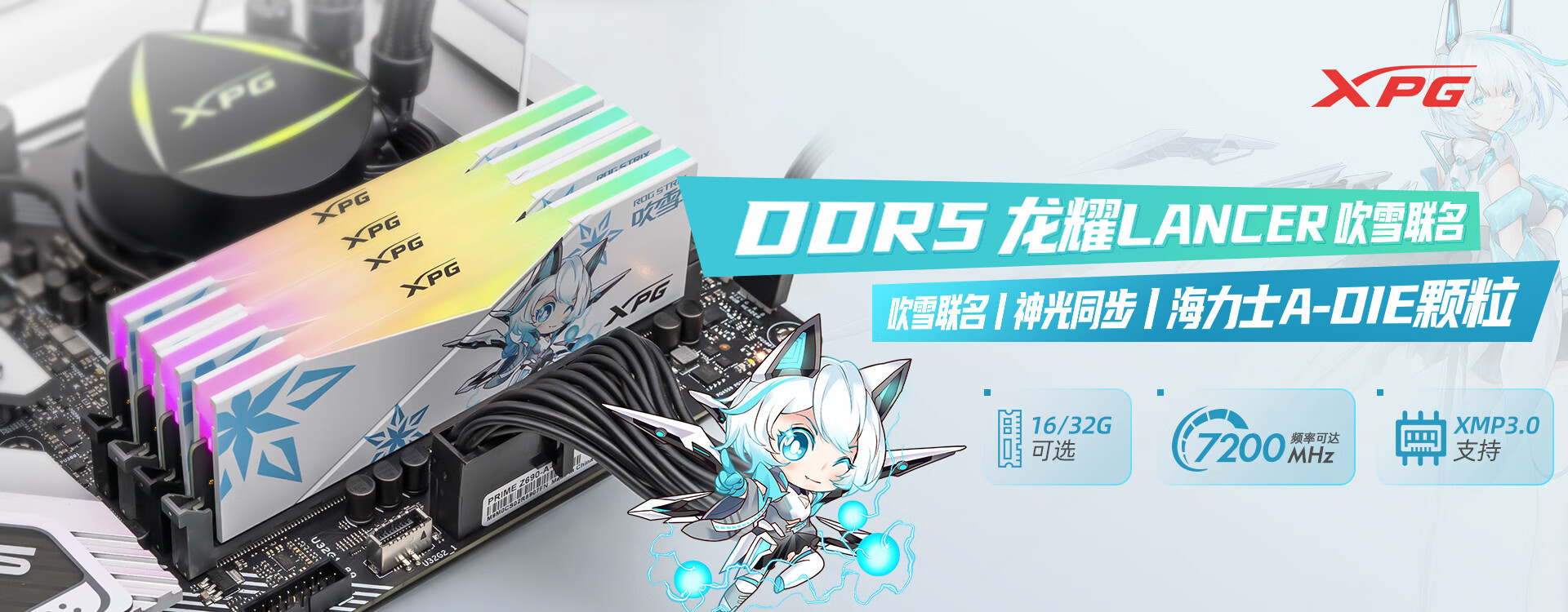 XPG旗舰店 - 京东