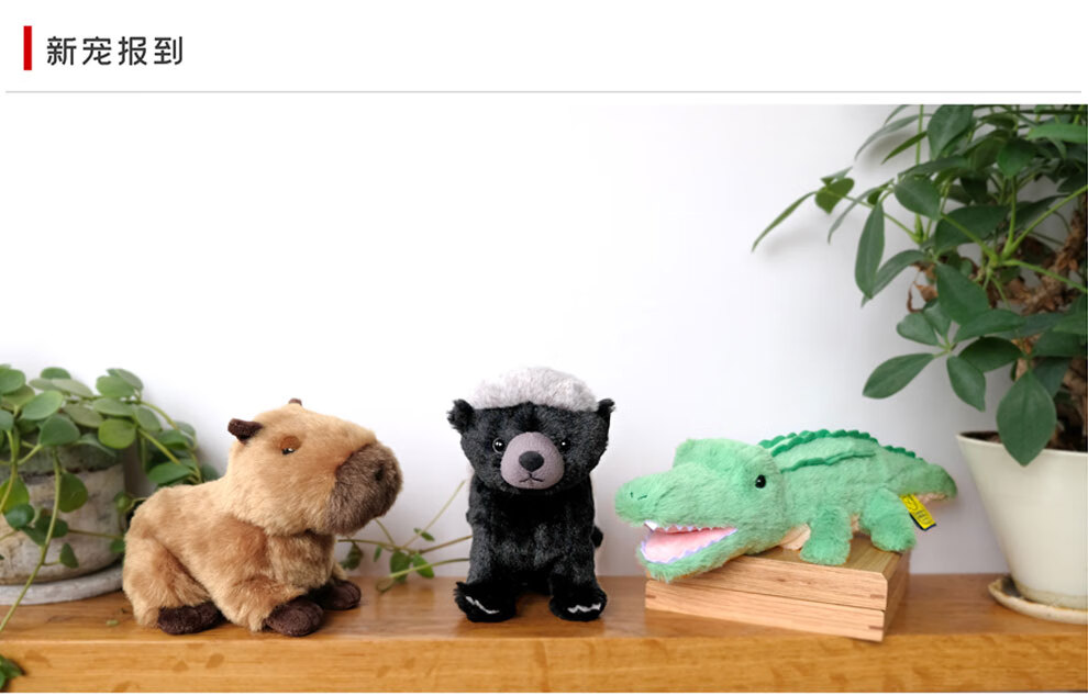 Sunlemon Original旗舰店 - 京东