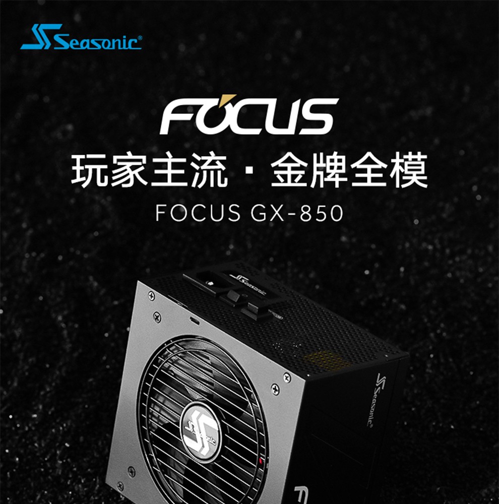 Seasonic 海韵 FOCUS GX1000/650/750/850金牌全模组电源台式机箱电源 FOCUS+ GX-850 WHITE ...
