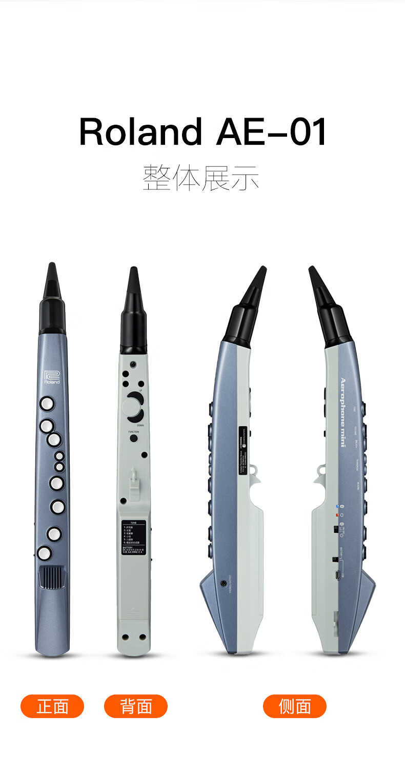Roland/罗兰AE-05 AE01/AE01C电吹管电萨克自带音源电子管乐 罗兰AE01电吹管【图片 价格 品牌 报价】-京东