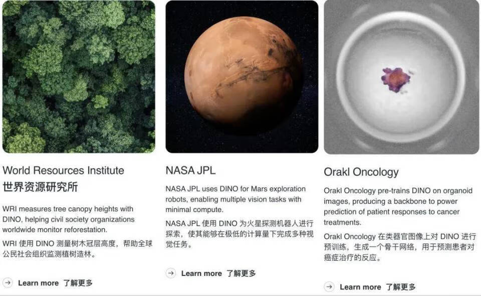 Meta视觉基座DINOv3王者归来：自监督首次全面超越弱监督，商用开源 | AI探金