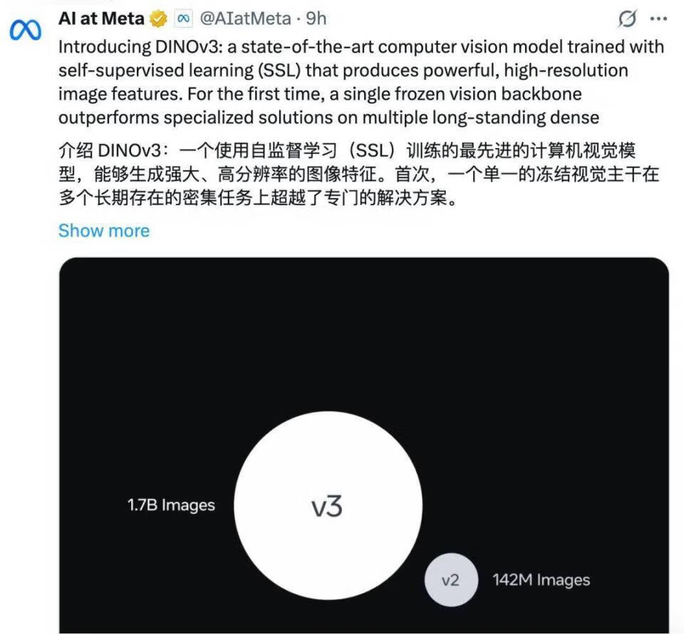 Meta视觉基座DINOv3王者归来：自监督首次全面超越弱监督，商用开源 | AI探金