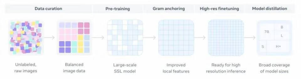 Meta视觉基座DINOv3王者归来：自监督首次全面超越弱监督，商用开源 | AI探金