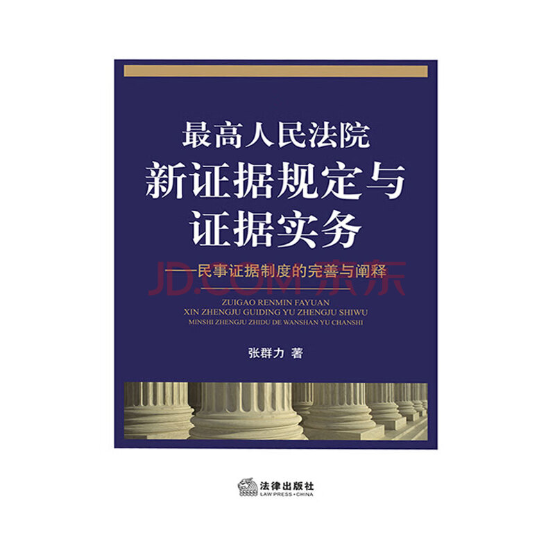 《最高人民法院新证据规定与证据实务:民事证据制度的完善与阐释》 张群力 电子书下载、在线阅读、内容简介、评论 京东电子书频道