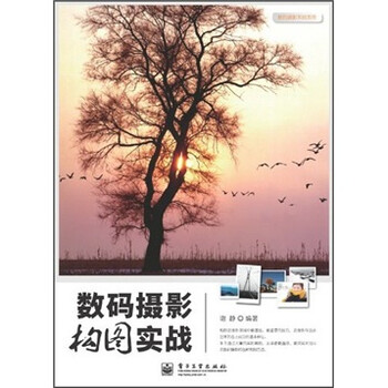[正版新书]数码摄影构图实战（全彩）9787121144660电子工业 /
