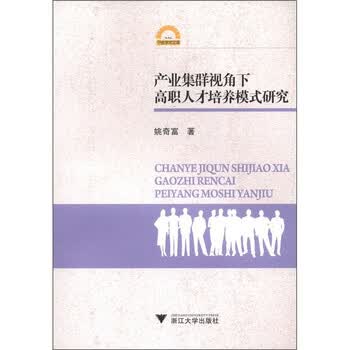 产业集群视角下高职人才培养模式研究