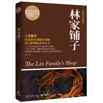 典藏馆：林家铺子