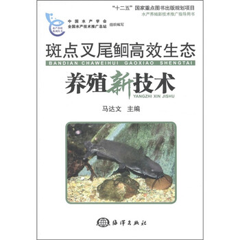 斑点叉尾鮰高效生态养殖新技术