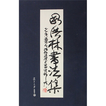 周洪林书法集