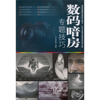 正版书籍 数码暗房专题技巧9787533534974