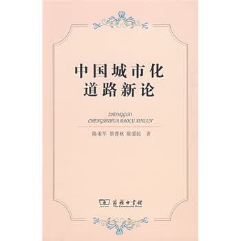 中国城市化道路新论