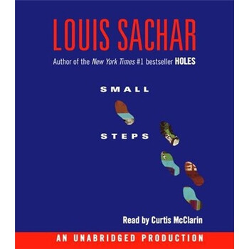Small Steps(Audio CD)