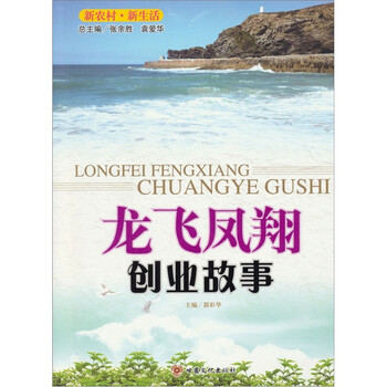 龙飞凤翔:创业故事9787549000722