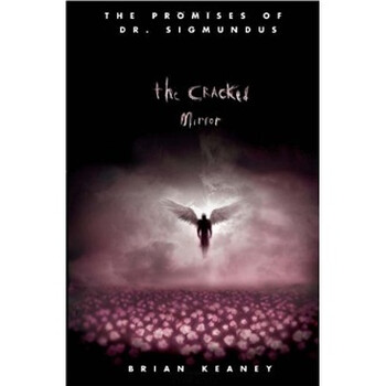 The Cracked Mirror 