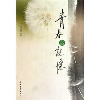 青春的记忆