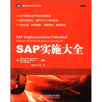 SAP实施大全(图灵出品）