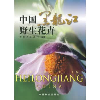 中国黑龙江野生花卉