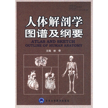 人体解剖学图谱及纲要