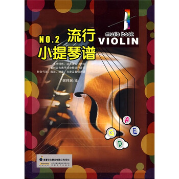 正版 流行小提琴（2）9787539632148