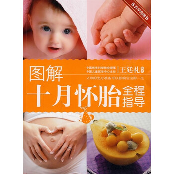 {正版新书}图解十月怀胎全程指导9787543940291