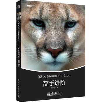 正版书籍 高手进阶9787121197321