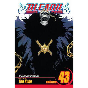 Bleach, Vol. 43: Volume 43