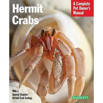 Hermit Crabs: Everything about Purchase, Car...