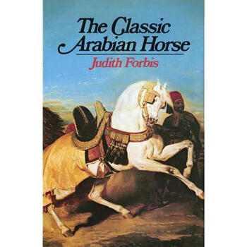 Classic Arabian Horse