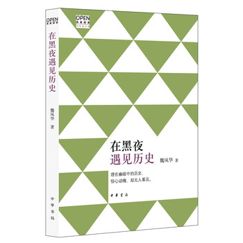 在黑夜遇见历史