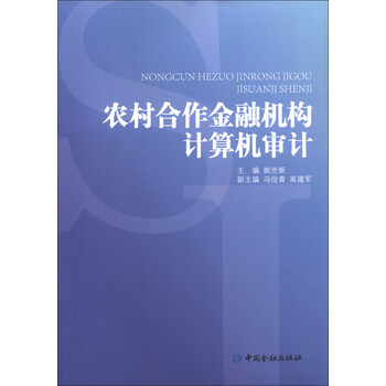农村合作金融机构计算机审计