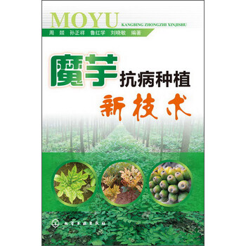 【京联正品】魔芋抗病种植新技术周燚9787122168559