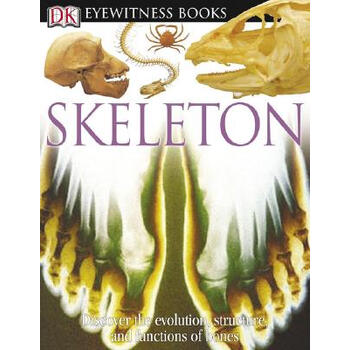【】Skeleton