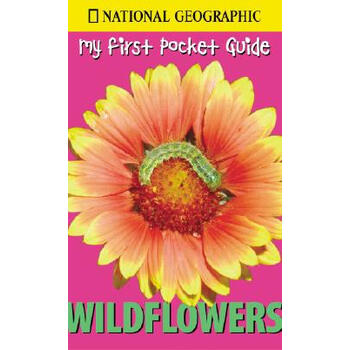 【】Wildflowers