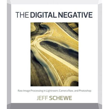 【】The Digital Negative: Raw Imag