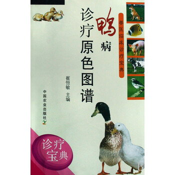 鸭病诊疗原色图谱/兽医临床诊疗宝典