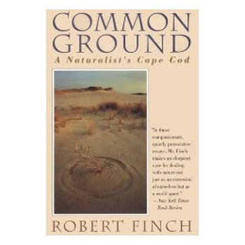 【】Common Ground